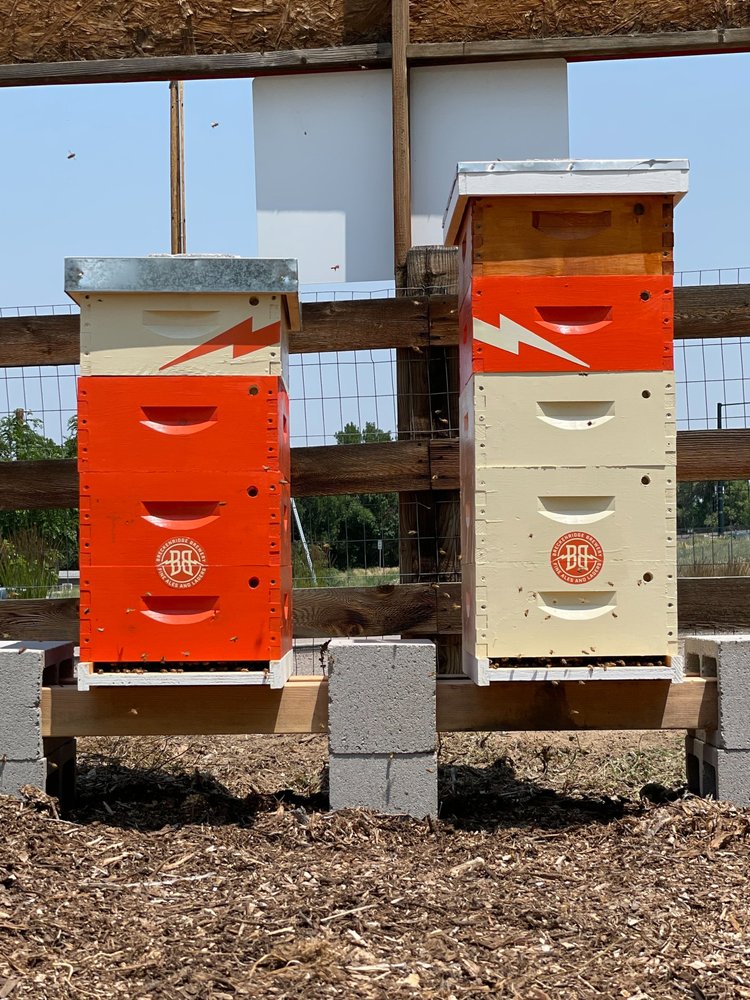 Bees and beers: a brew-tiful friendship - Breckenridge Brewery